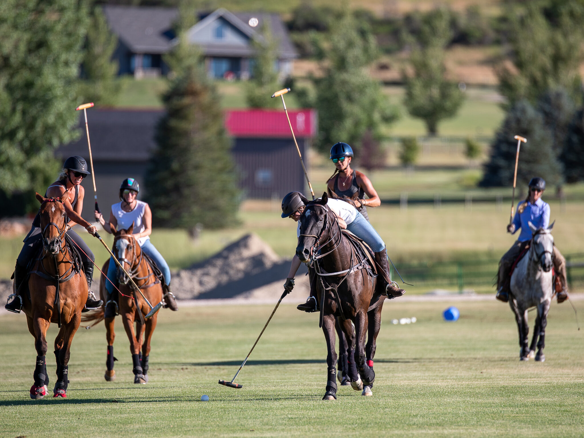 Polo School – Big Horn Polo Club